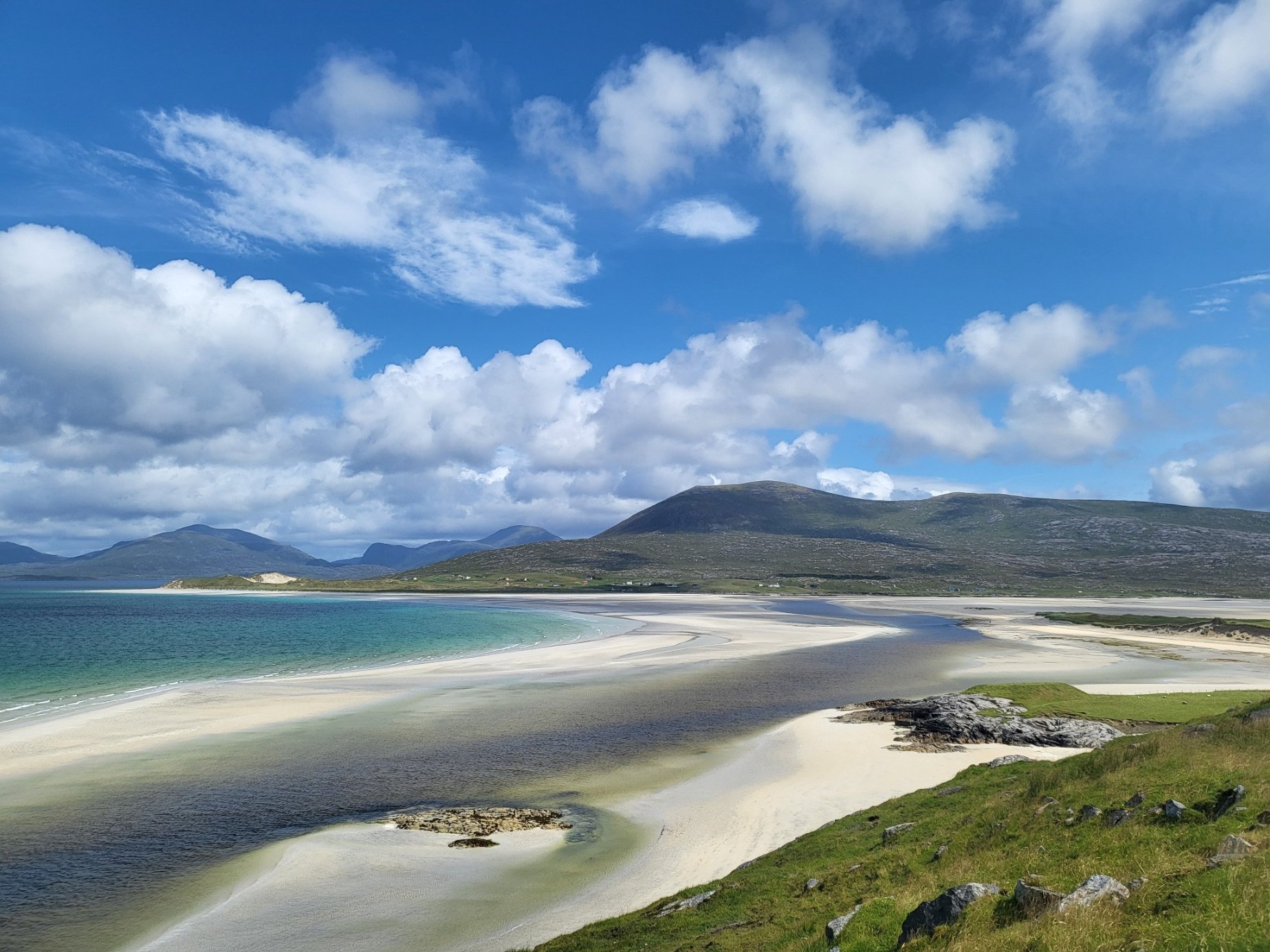Projects | Wild Fisheries Fund