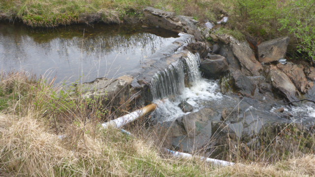 Loch Lomond Angling Improvement Association: River Fruin Habitat ...
