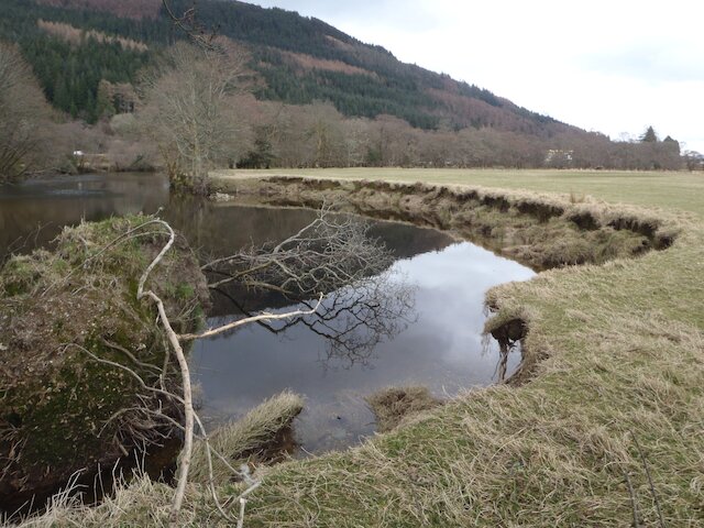 Projects | Wild Fisheries Fund