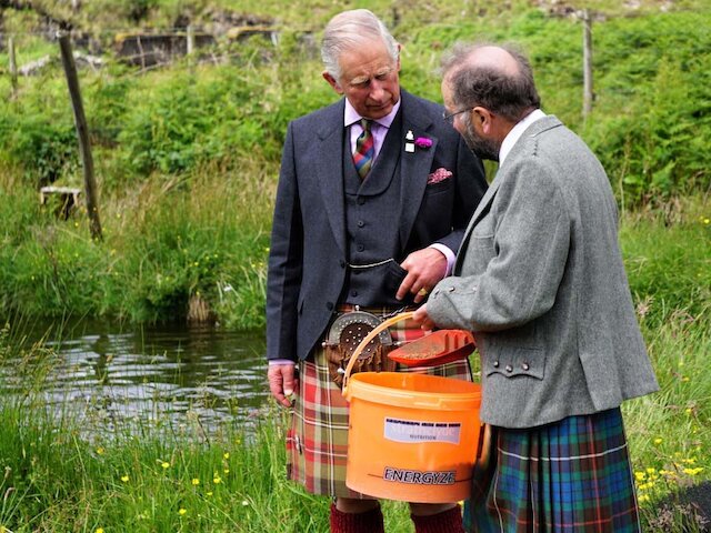 Projects | Wild Fisheries Fund