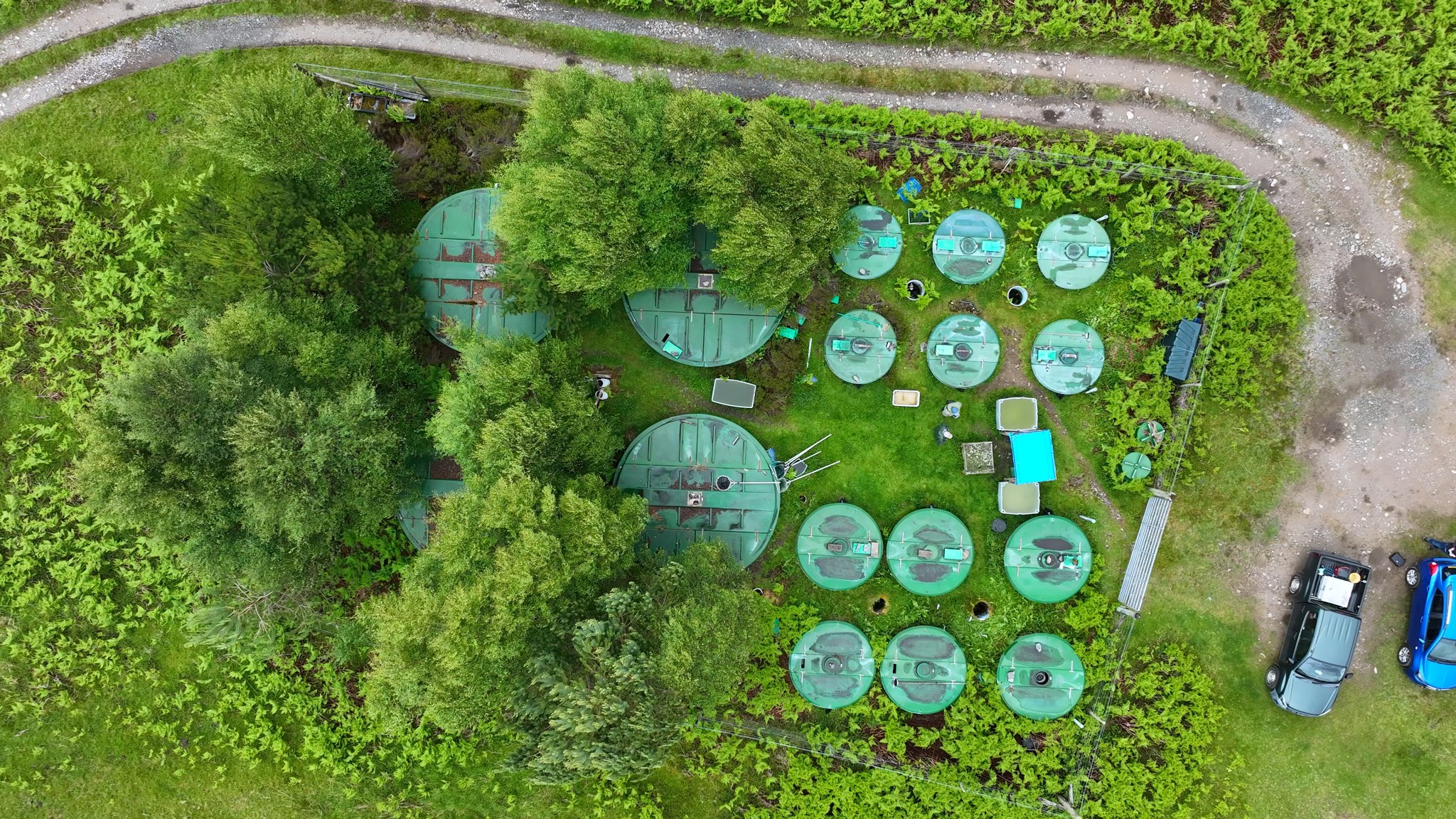 River Carron restocking research project 2025 | Wild Fisheries Fund