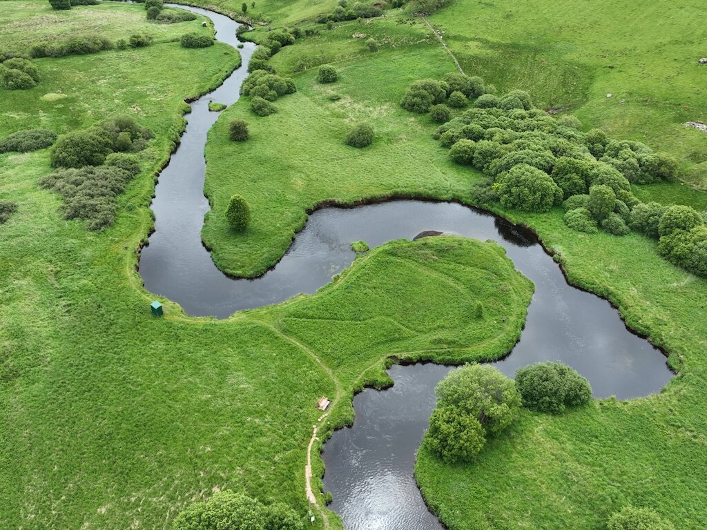 Projects | Wild Fisheries Fund
